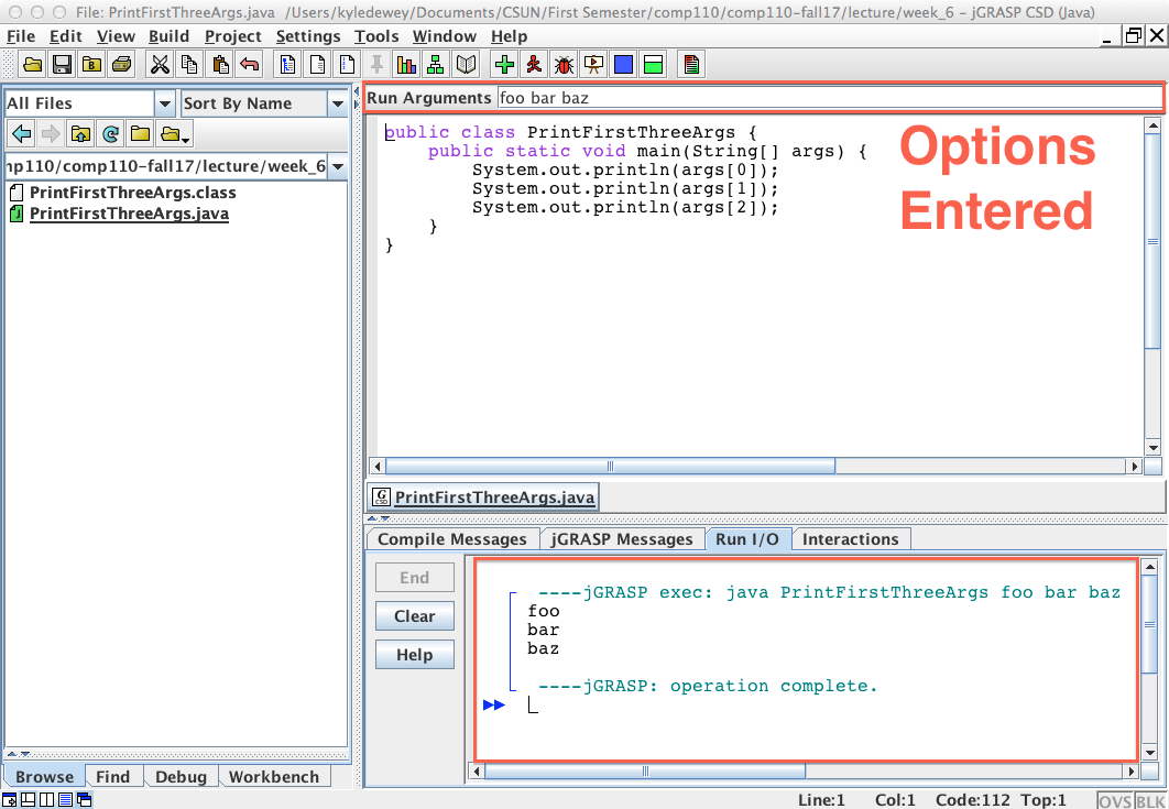 Specifying Command Line Arguments In JGrasp